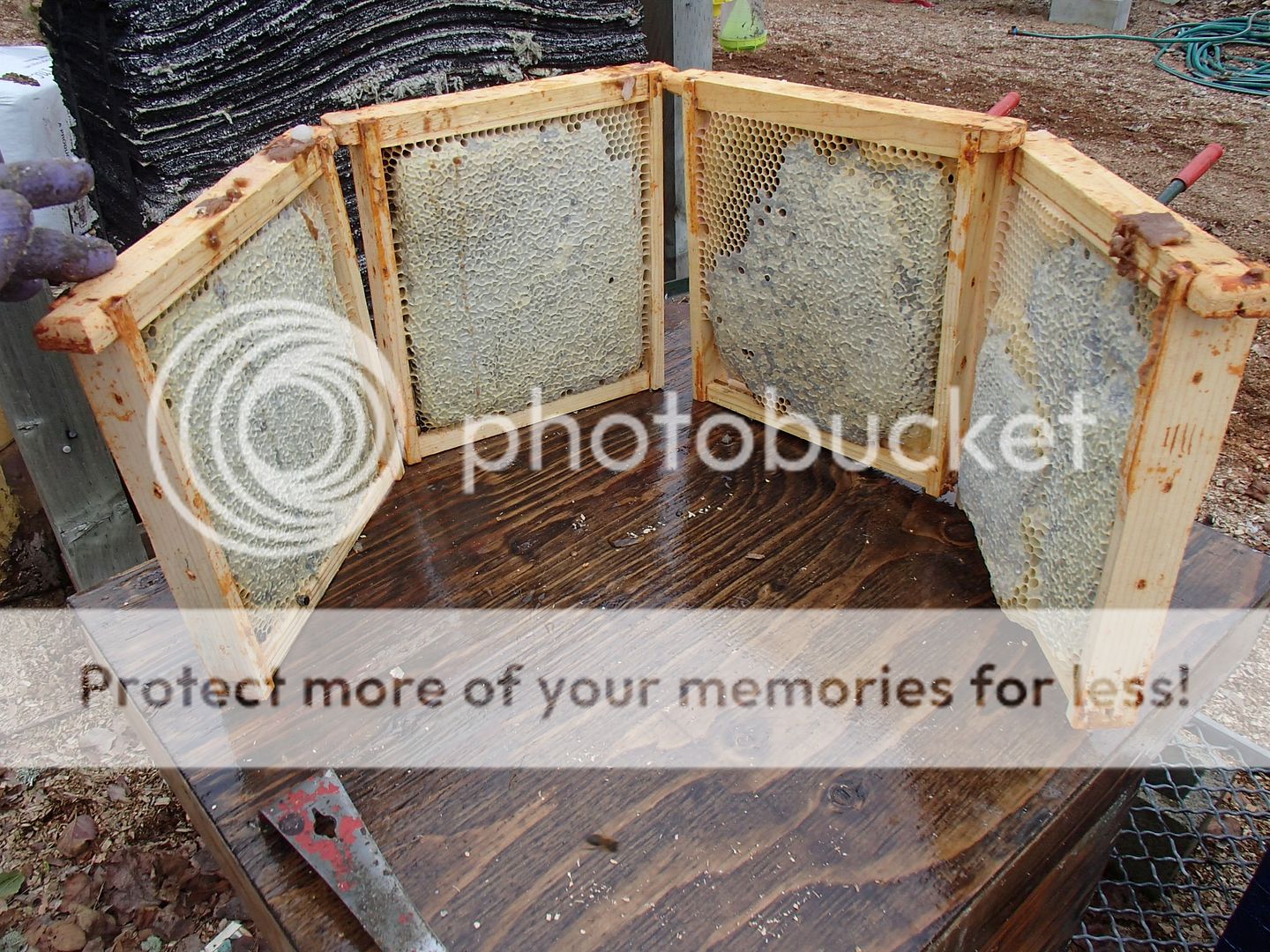 How I plan on overwintering 40 mating nucs on mini frames | Beesource Beekeeping Forums